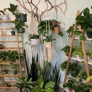 PACIFIC COAST TERMITE - Updated December 2025 - 61 Photos & 446 Reviews ...