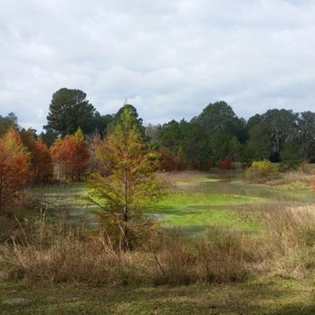 PEDRICK POND PARK - Updated December 2025 - 59 Photos - 1583 Pedrick Rd ...