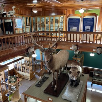 BANFF PARK MUSEUM - Updated July 2025 - 45 Photos - 91 Banff Avenue ...