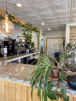 THE BLUE FOOT CAFE - Updated December 2025 - 24 Photos & 43 Reviews ...