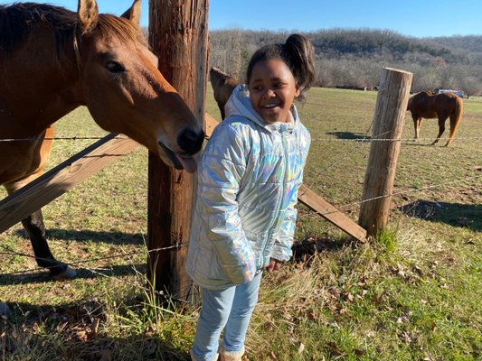 BLUE SPRINGS RANCH - Updated February 2025 - 36 Photos & 47 Reviews ...