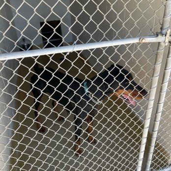 NAPA COUNTY ANIMAL SHELTER AND ADOPTION CENTER - Updated August 2025 ...