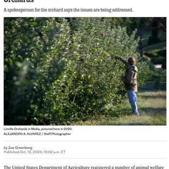 LINVILLA ORCHARDS - 1100 Photos & 450 Reviews - 137 W Knowlton Rd ...