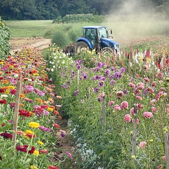 HOWARD FAMILY FARM - Updated January 2026 - 68 Photos & 12 Reviews ...