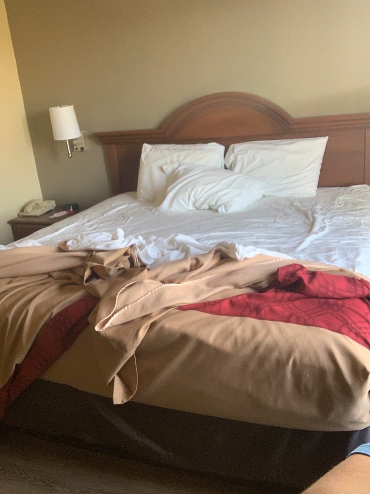 ECONO LODGE INN & SUITES - Updated May 2024 - 22 Photos - 1004 Treetops ...