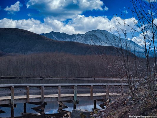 COLDWATER LAKE - 39 Photos - 2455 Washington 141, Trout Lake ...