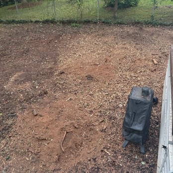 CHEAP & GREAT TREE SERVICES - Updated December 2025 - 57 Photos & 136 ...