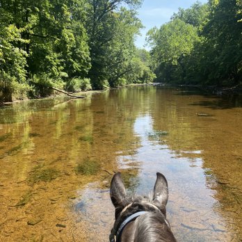 RED BUFFALO RANCH - Updated October 2025 - 69 Photos & 62 Reviews ...