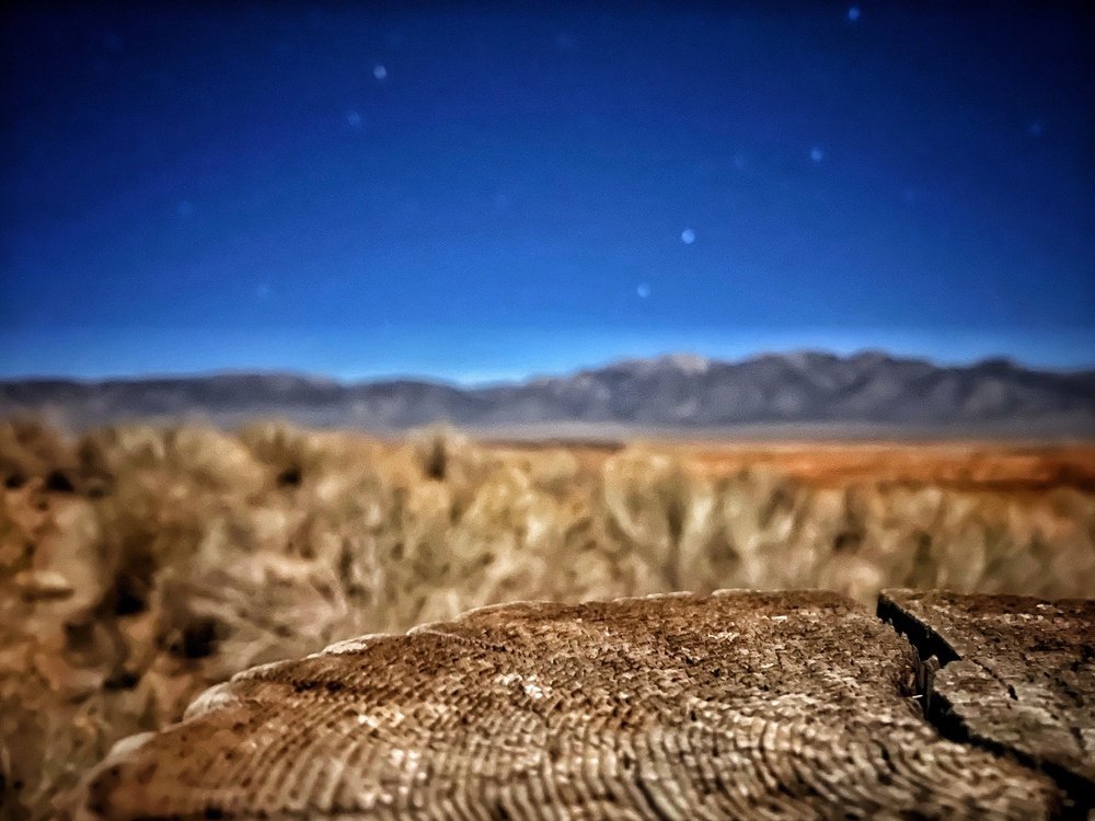 WILD WILLY’S HOT SPRING - Updated November 2024 - 336 Photos & 158 ...