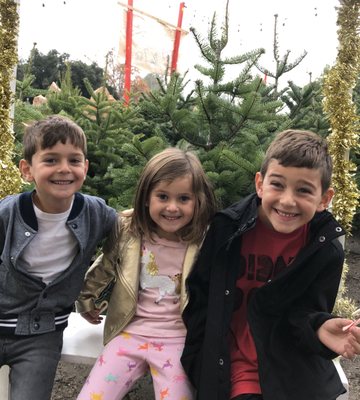 ANDREW GOLDENBERG, DDS - Updated October 2025 - 29 Photos & 146 Reviews ...