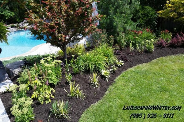 WHITBY LANDSCAPING & GARDENING - Updated August 2025 - 68 Photos - 511 ...