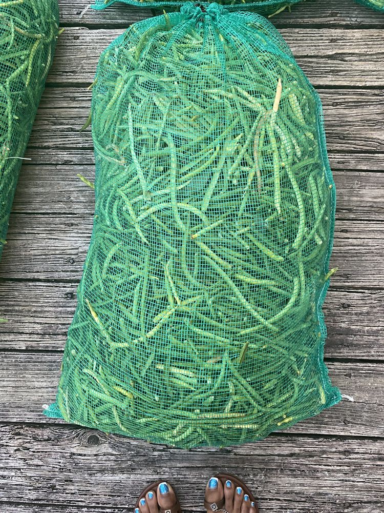 JB BUTLER FARMS & PRODUCE - Updated January 2026 - 517 Son Norman Rd ...