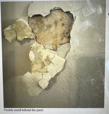 SOLIL MANAGEMENT - Updated October 2025 - 201 Reviews & 40 Photos ...