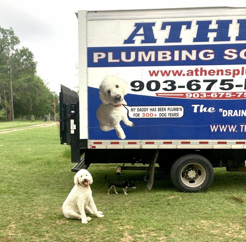 Athens Plumbing Solutions - Updated March 2026 - 15150 County Rd 1124 ...