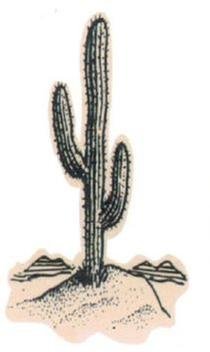 HIGH DESERT VETERINARY SERVICE - Updated September 2025 - 2555 E 9th St ...