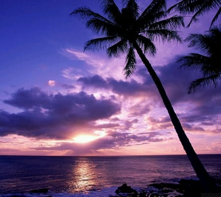 ADVENTHEALTH SEBRING - Updated January 2026 - 17 Photos & 34 Reviews ...