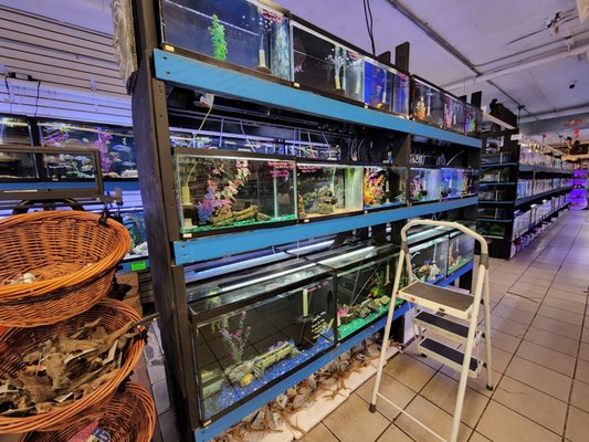 FISH HUT OF NEW JERSEY - Updated October 2025 - 103 Photos & 85 Reviews ...