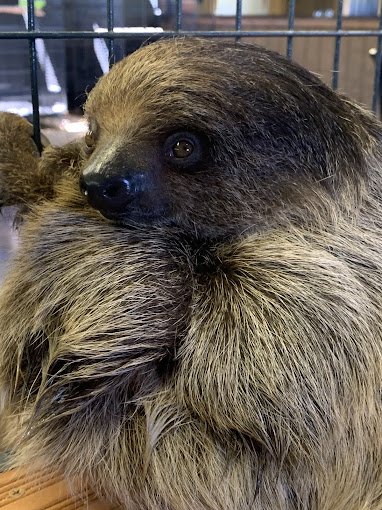 EMBERWOOD FARM - Updated January 2025 - 36 Photos - 2619 Ash Little ...