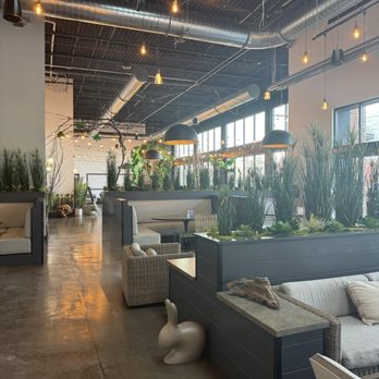 NOBLE FUNK BREWING - Updated December 2025 - 274 Photos & 86 Reviews ...