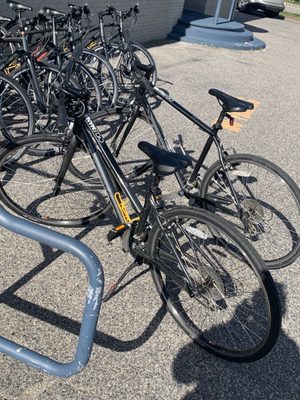 CYCLE MANIA - Updated December 2025 - 23 Reviews - 65 Cove St, Portland ...