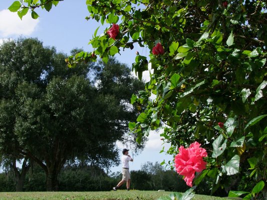 TATUM RIDGE GOLF LINKS - Updated January 2026 - 23 Reviews - 421 Tatum ...