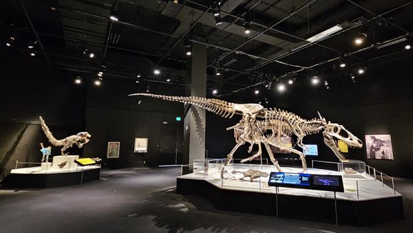 OREGON MUSEUM OF SCIENCE AND INDUSTRY - Updated October 2025 - 1709 ...