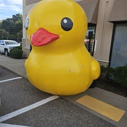 Duck Donuts - Trusted Since 2023 - Updated July 2025 - 102 Photos - 77 ...