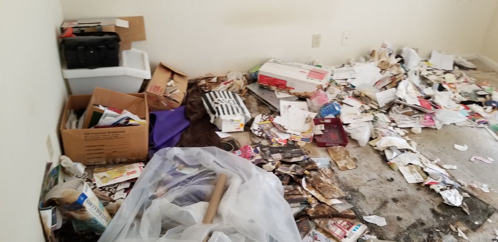 ATLANTA TRASH AND JUNK REMOVAL - Updated January 2025 - 13 Photos ...