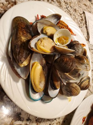 BIMINI BUFFET - Updated October 2025 - 37 Photos & 44 Reviews - 1045 ...