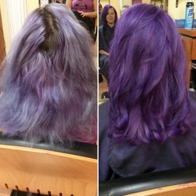 LISA BERTINI AT SALON EMILIANI - Updated May 2024 - Tampa Bay, Florida ...