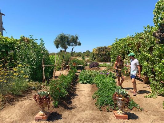 ZINC HOUSE FARM - 20679 CA-120, Escalon, California - Attraction Farms ...