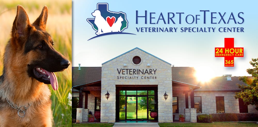 Heart of Texas Veterinary Specialty Center - Updated May 2026 - 193 ...
