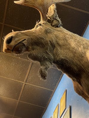 DUCK ROOM AT BLUEBERRY HILL - 14 Photos & 15 Reviews - 6504 Delmar Blvd ...