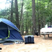 SHAWME-CROWELL STATE FOREST - 31 Photos & 23 Reviews - 42 Main St ...