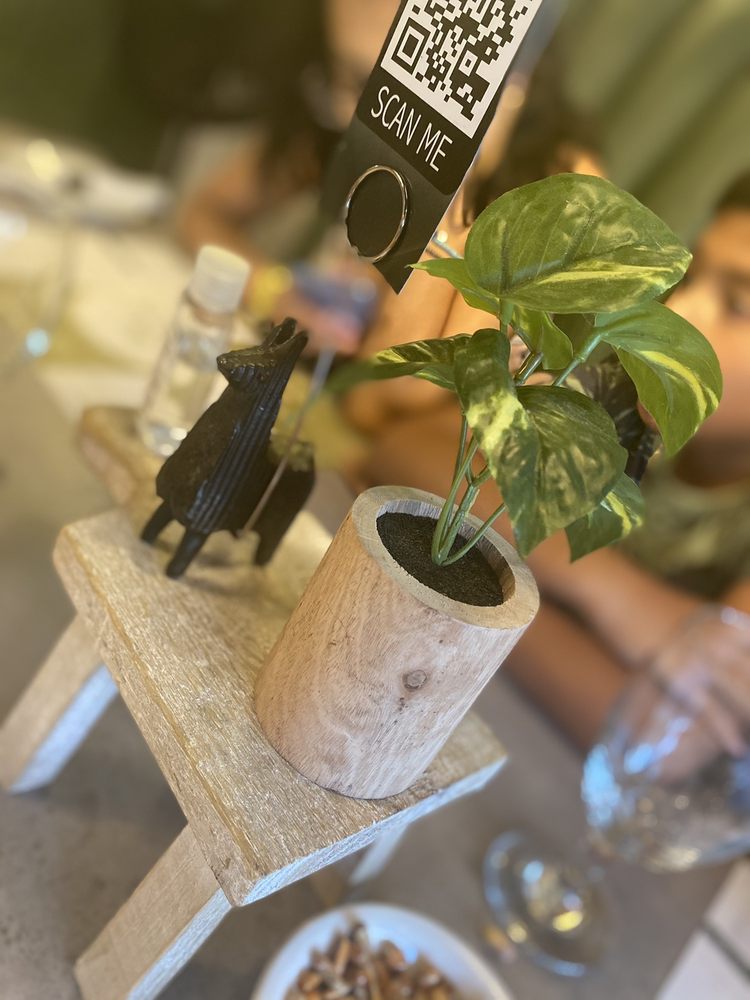 OH CEVICHE - 741 Photos & 441 Reviews - 5941 S University Dr, Davie ...