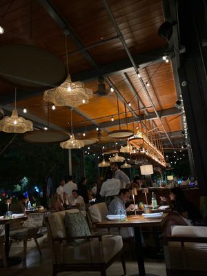 KOKO - Updated August 2024 - 386 Photos & 191 Reviews - 2856 Tigertail ...