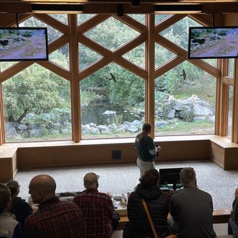 INTERNATIONAL WOLF CENTER - Updated October 2025 - 79 Photos & 33 ...