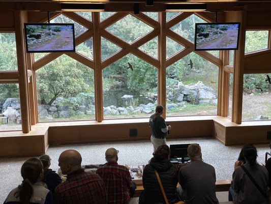 INTERNATIONAL WOLF CENTER - Updated October 2025 - 79 Photos & 33 ...