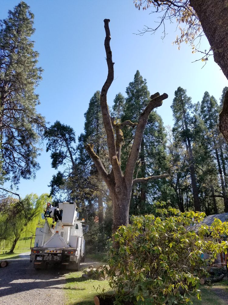 CANOPY, LLC - Updated October 2025 - 14 Reviews - 157 Max Lp, Talent ...