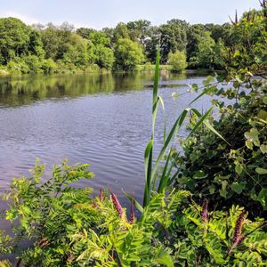 LUMS POND STATE PARK - 98 Photos & 44 Reviews - 1068 Howell School Rd ...