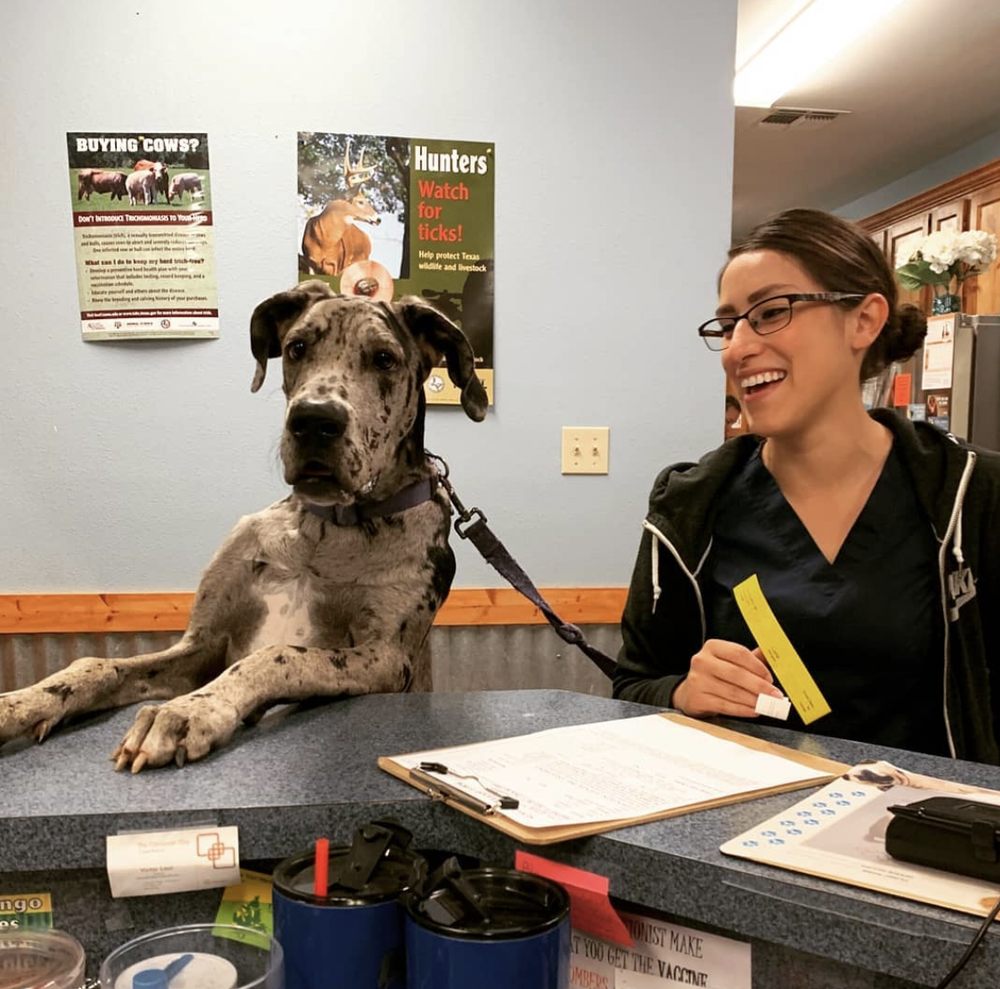 THE COUNTRY VET - Updated December 2025 - 40 Photos & 44 Reviews ...