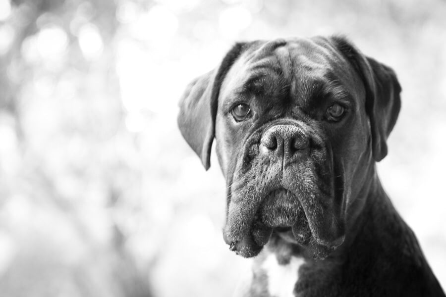 JEN IVEY PHOTOGRAPHY - Perth Western Australia, Australia - Session ...