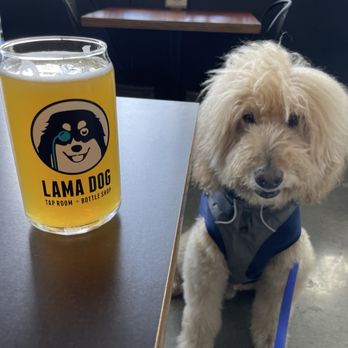 UPTOWN LAMA DOG & SAMA SAMA KITCHEN - Updated December 2025 - 44 Photos ...