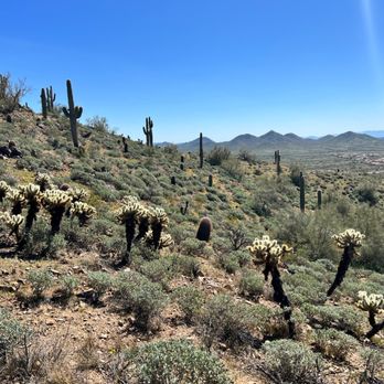 DESERT HILLS TRAILHEAD - Updated January 2026 - 125 Photos - 705 W ...
