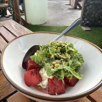 BACARI PDR - Updated January 2026 - 2592 Photos & 2568 Real Reviews ...