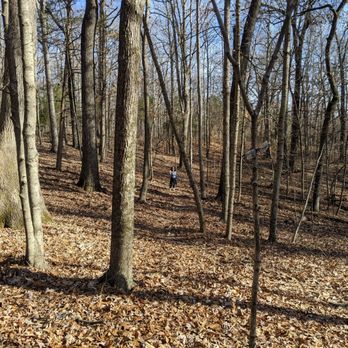 SAUNDERS SPRINGS NATURE PRESERVE - Updated December 2025 - 145 Photos ...