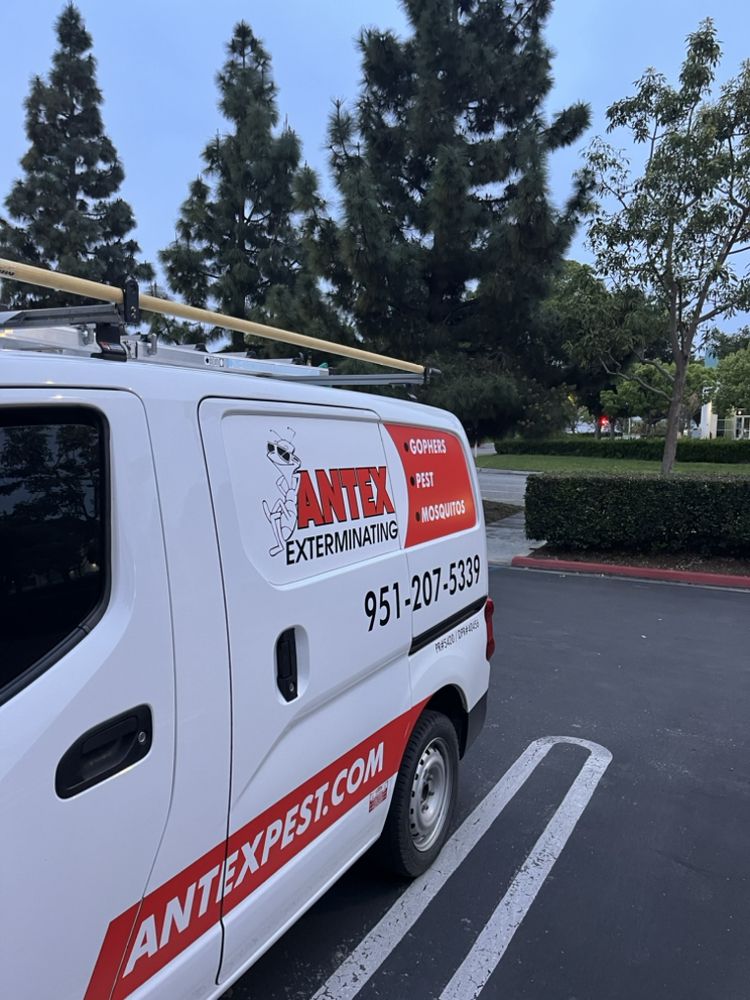 ANTEX EXTERMINATING - Updated May 2024 - 102 Photos & 34 Reviews ...