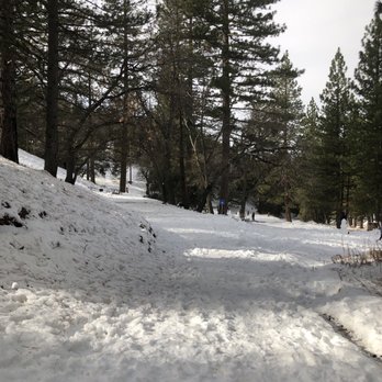 TEHACHAPI MOUNTAIN PARK - Updated August 2025 - 154 Photos & 23 Reviews ...