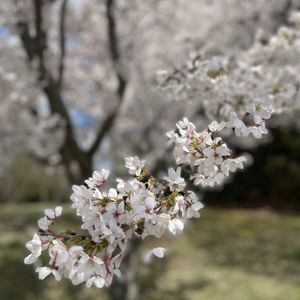 KUSER FARM MANSION AND PARK - Updated October 2025 - 39 Photos - 390 ...