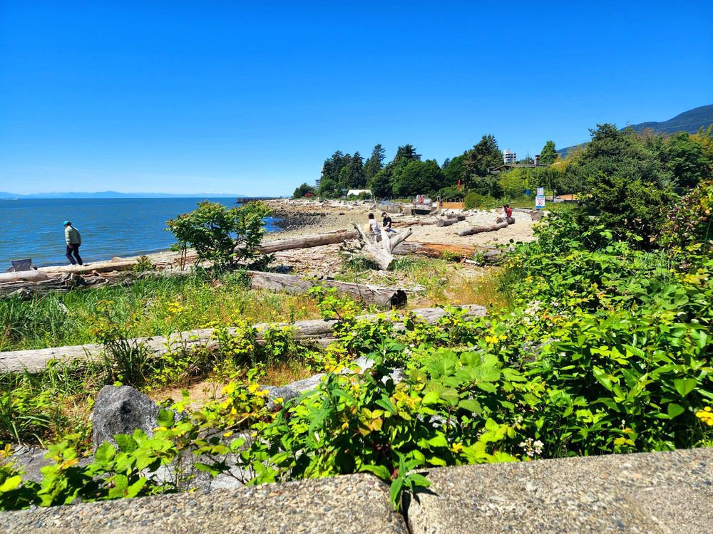 AMBLESIDE PARK - 227 Photos & 35 Reviews - 1500 Argyle Avenue, West ...